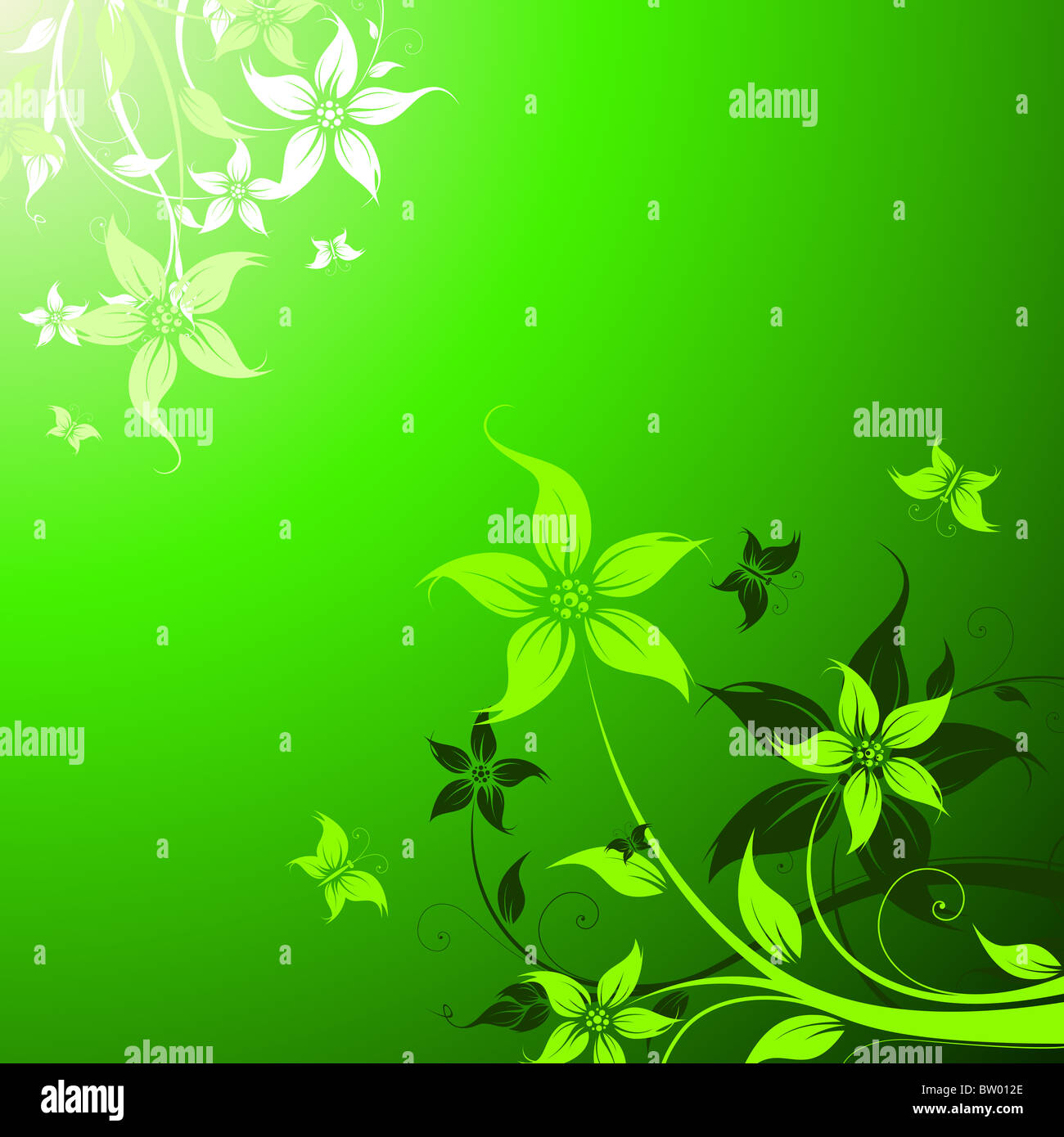 Green vector floral background for your design Stock Photo - Alamy
