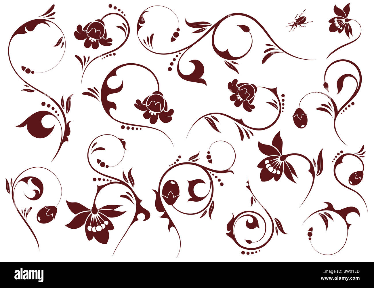 Collect Floral scroll, element for design, vector illustration Stock ... Collect Floral scroll, element for design, vector illustration Stock ...