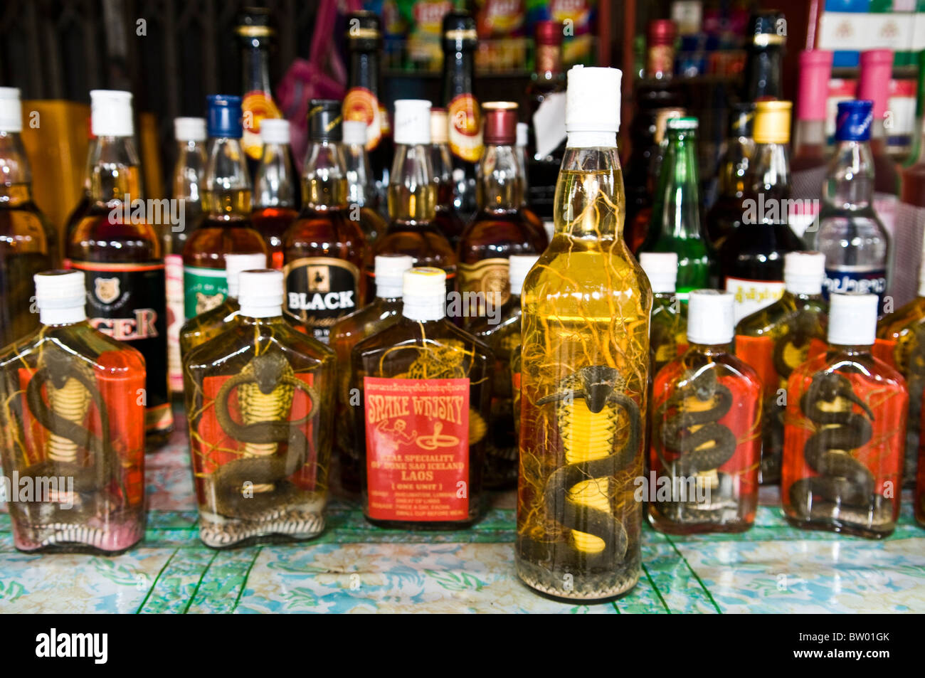 Snake Wine Vietnam High Resolution Stock Photography and Images - Alamy