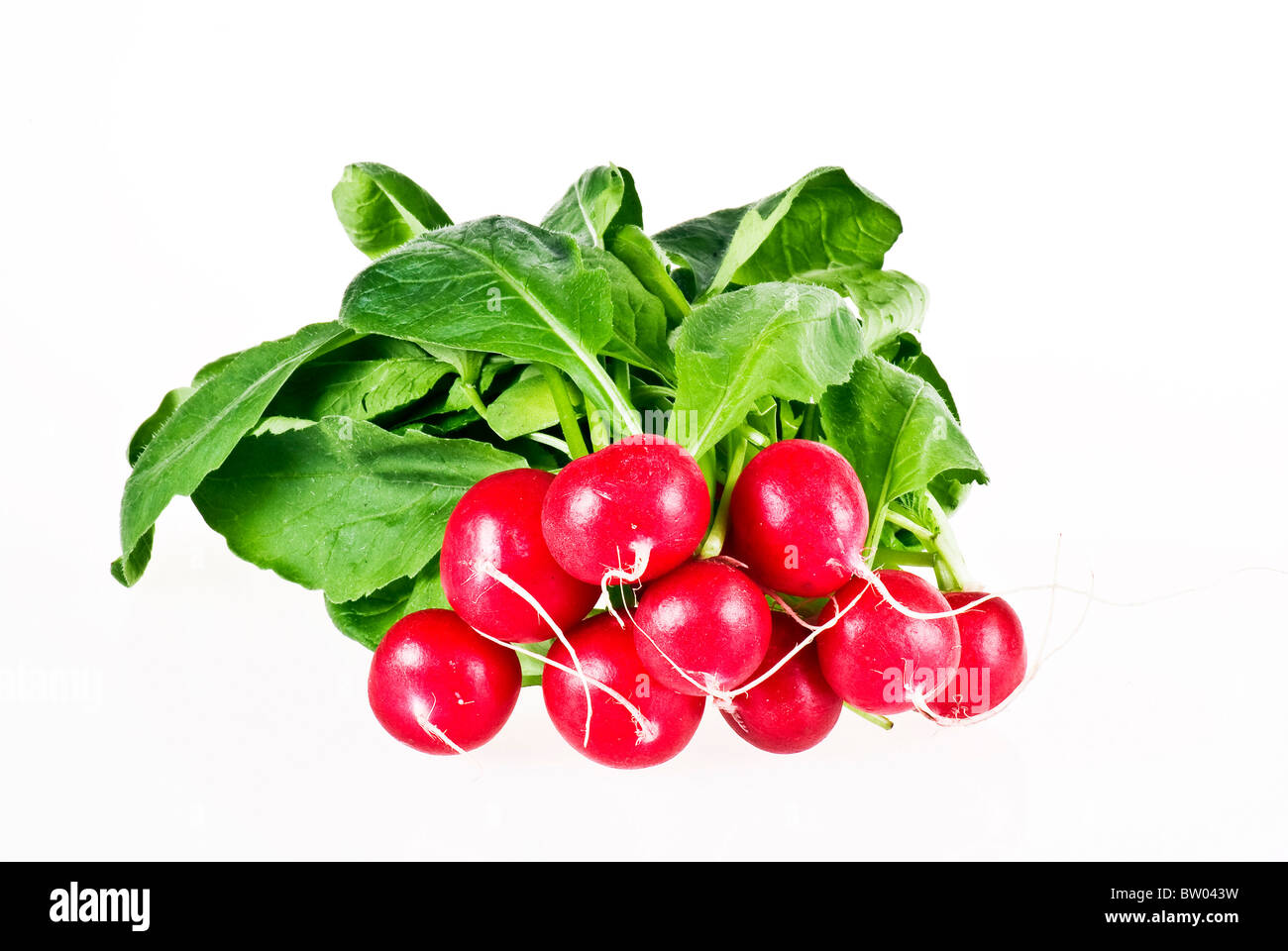 Fresh radishes isolated on white background Stock Photo - Alamy