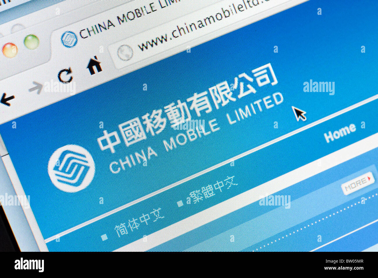 Detail of screenshot from website of China Mobile Limited ...