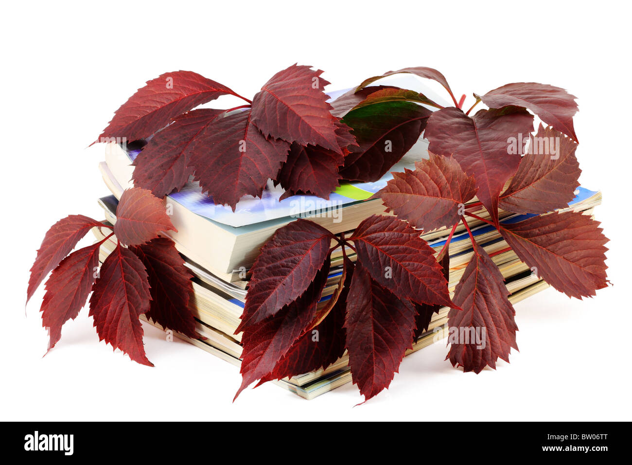 Books and magazines with red autumn leaves Stock Photo - Alamy