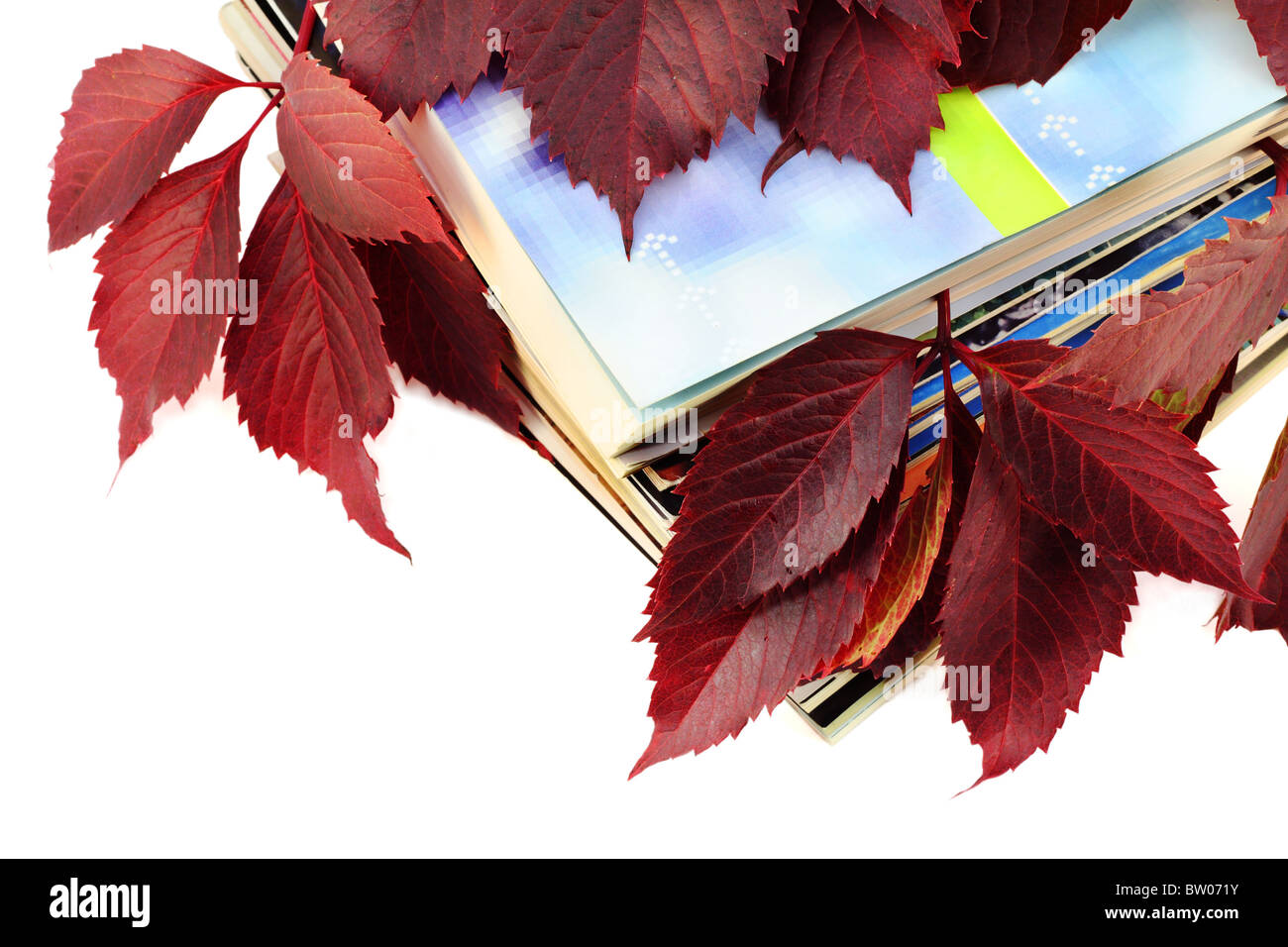 Books and magazines with red autumn leaves Stock Photo - Alamy