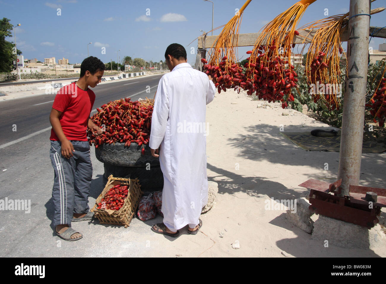 Selling fresh dates on the streets of Alexandria, Egypt Stock Photo - Alamy
