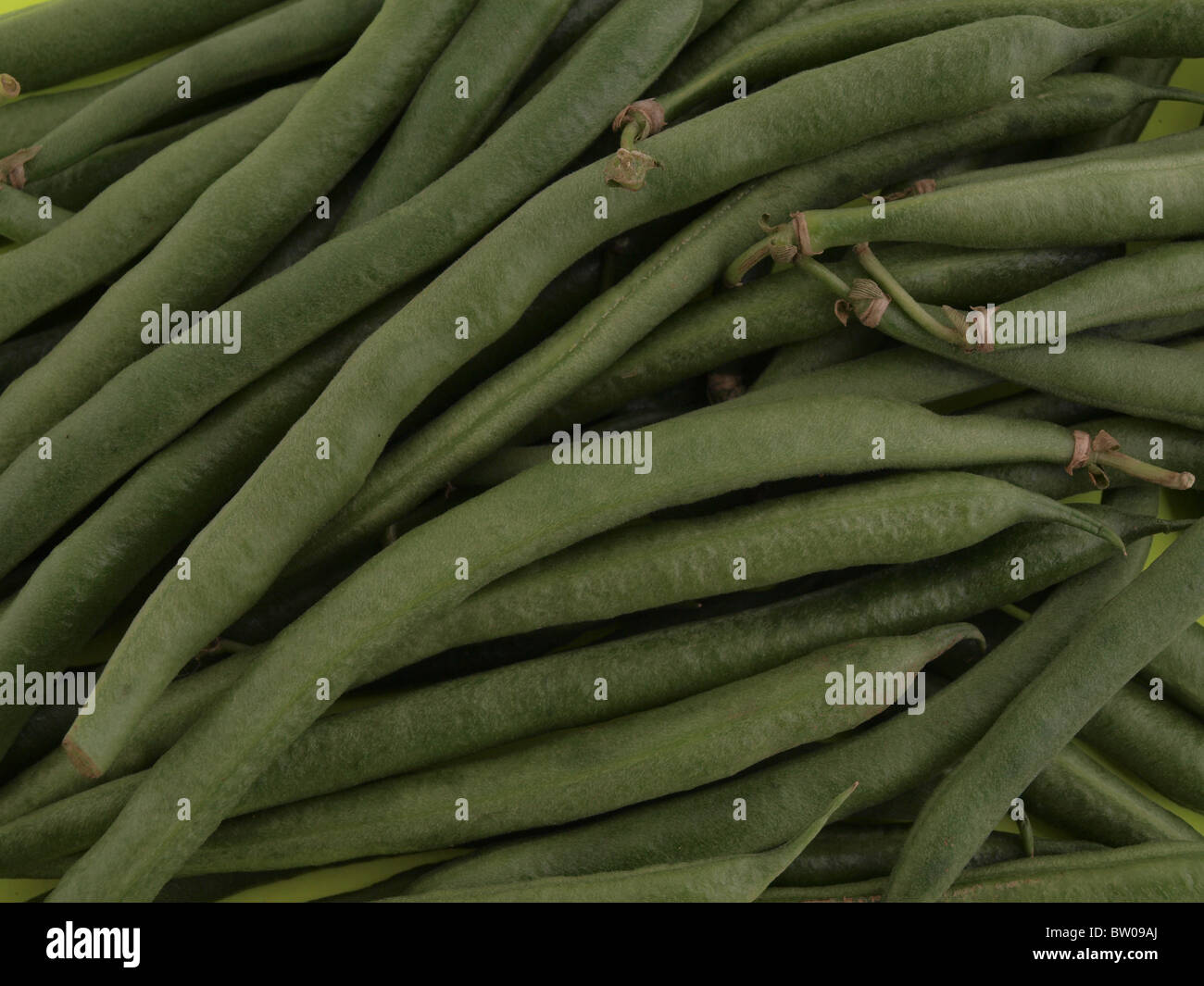 Green organic runner beans with no background Stock Photo - Alamy