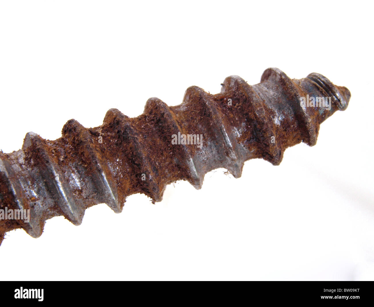 Old rusty screw on a white background Stock Photo - Alamy