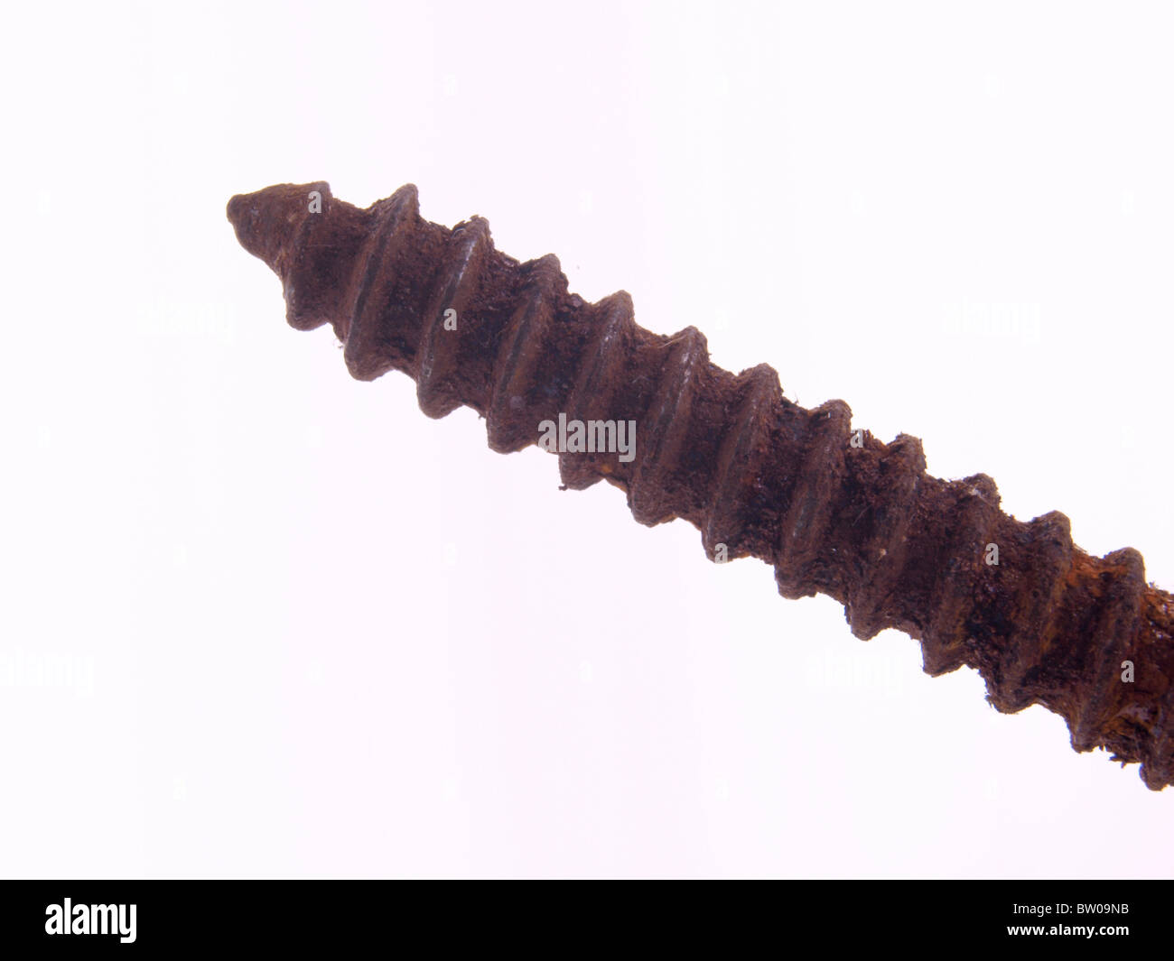 Old rusty screw on a white background Stock Photo - Alamy
