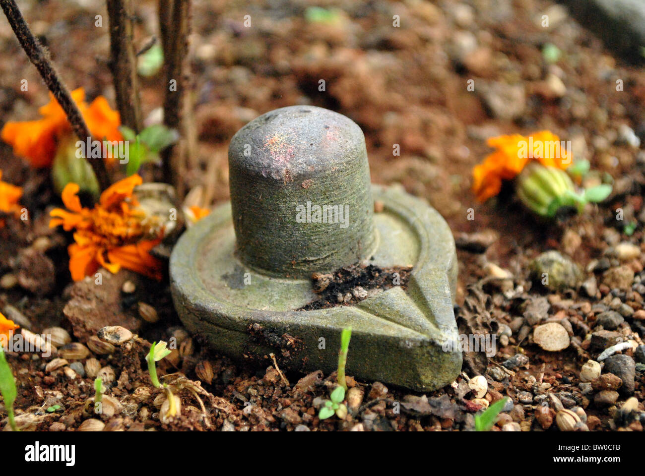 shivaling, even called shiva pind Stock Photo - Alamy