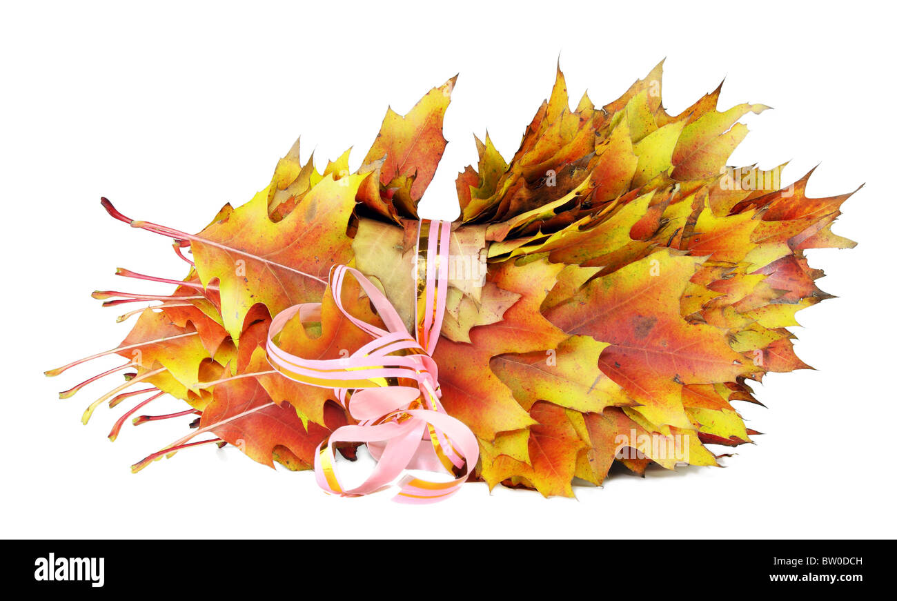 Autumn birthday Cut Out Stock Images & Pictures - Alamy