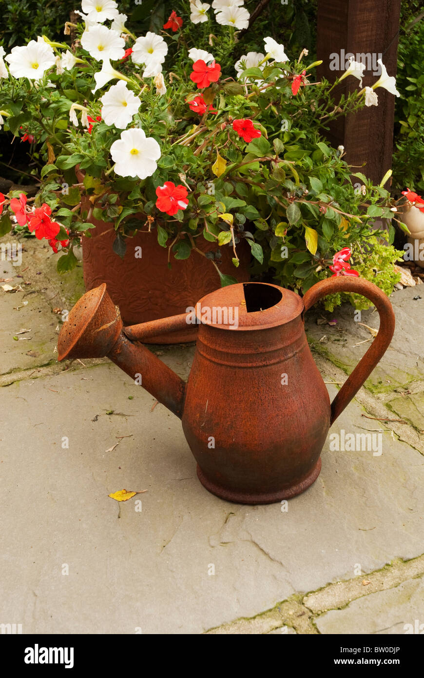 Old rusty watering can Stock Photo - Alamy
