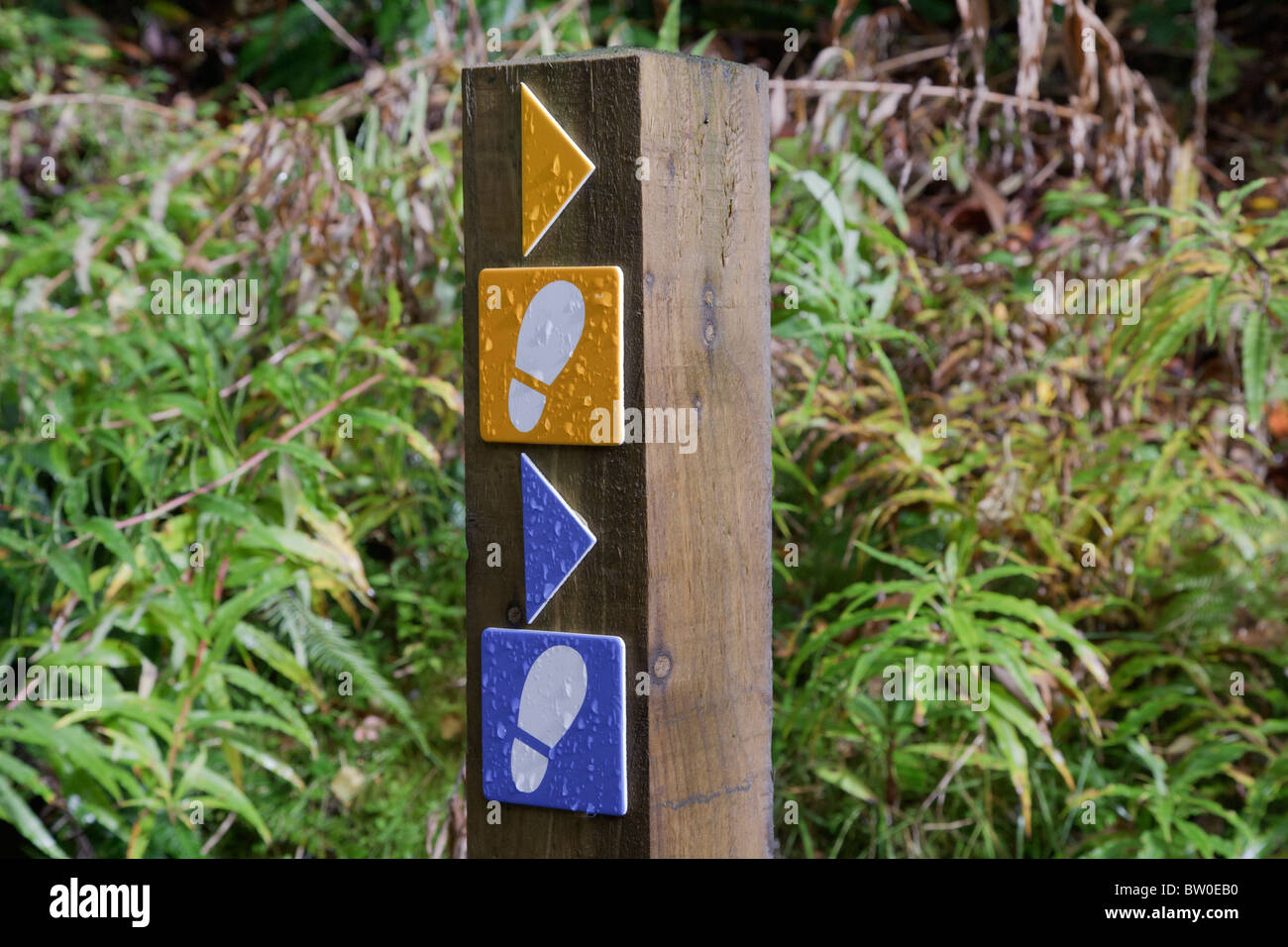 Colour coded direction markers to show walkers different routes and ...