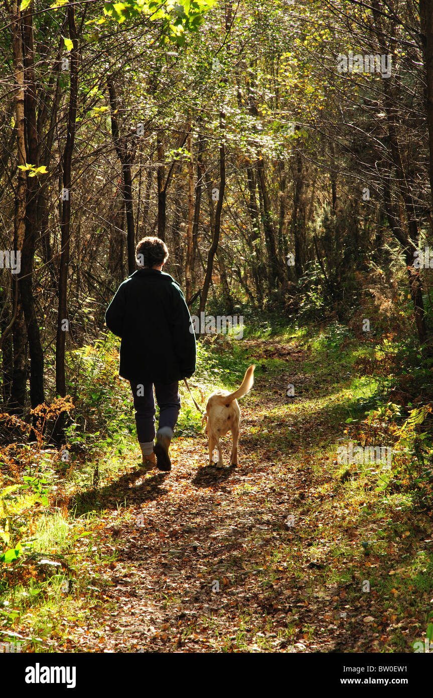 Lady walker her dog hi-res stock photography and images - Alamy