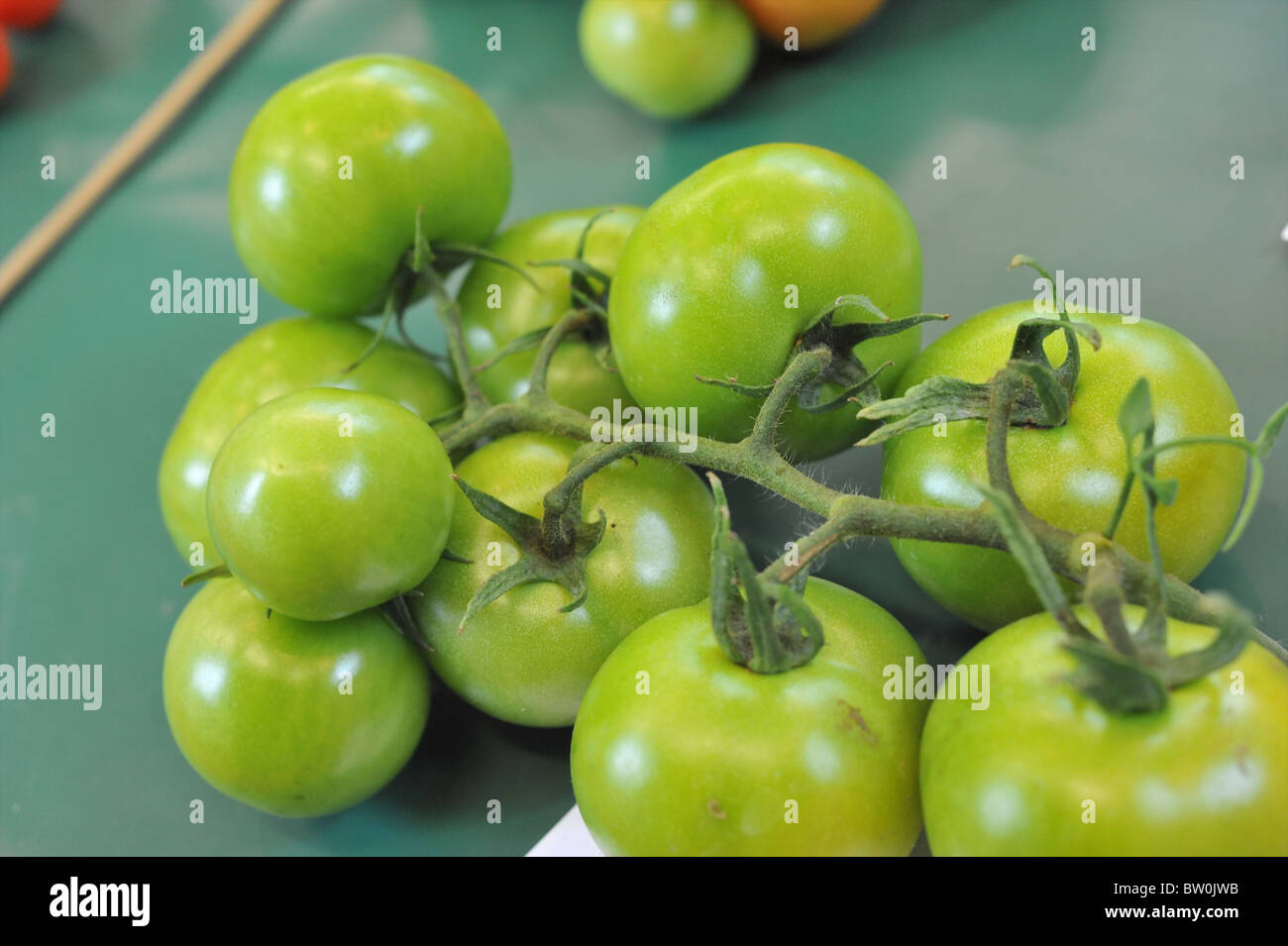 Show tomatoes hi-res stock photography and images - Alamy