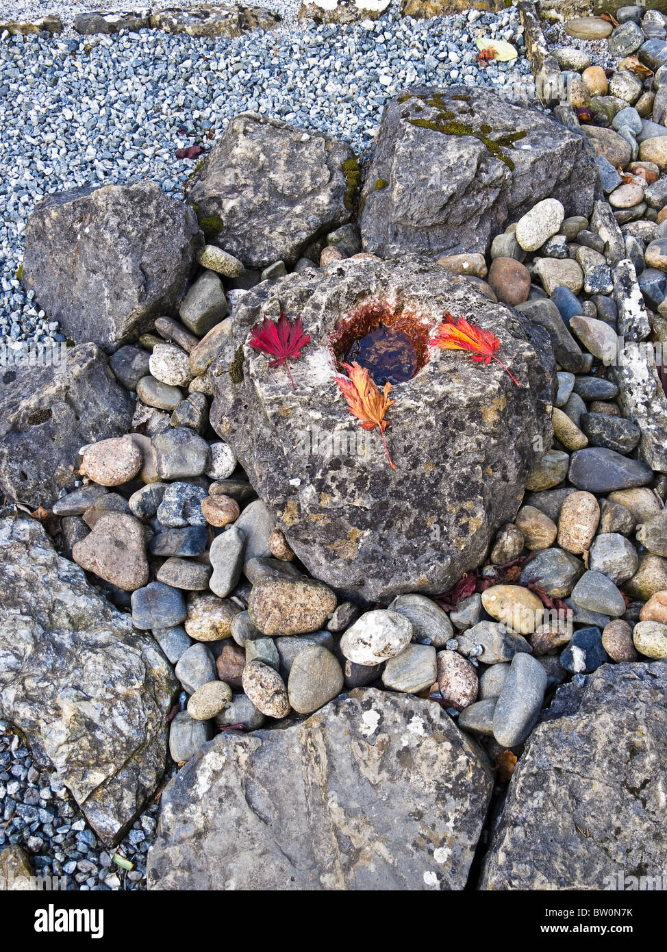 A tsukubai or stone basin in a Japanese garden with pebbles, stone and ...