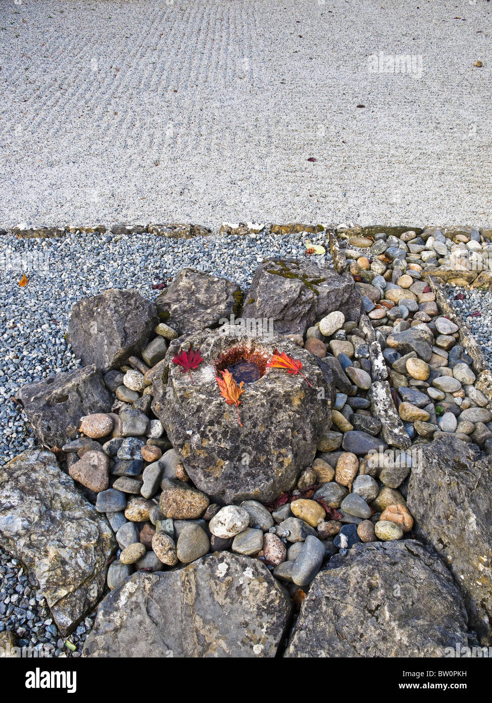 A tsukubai or stone basin in a Japanese garden with pebbles, stone and ...