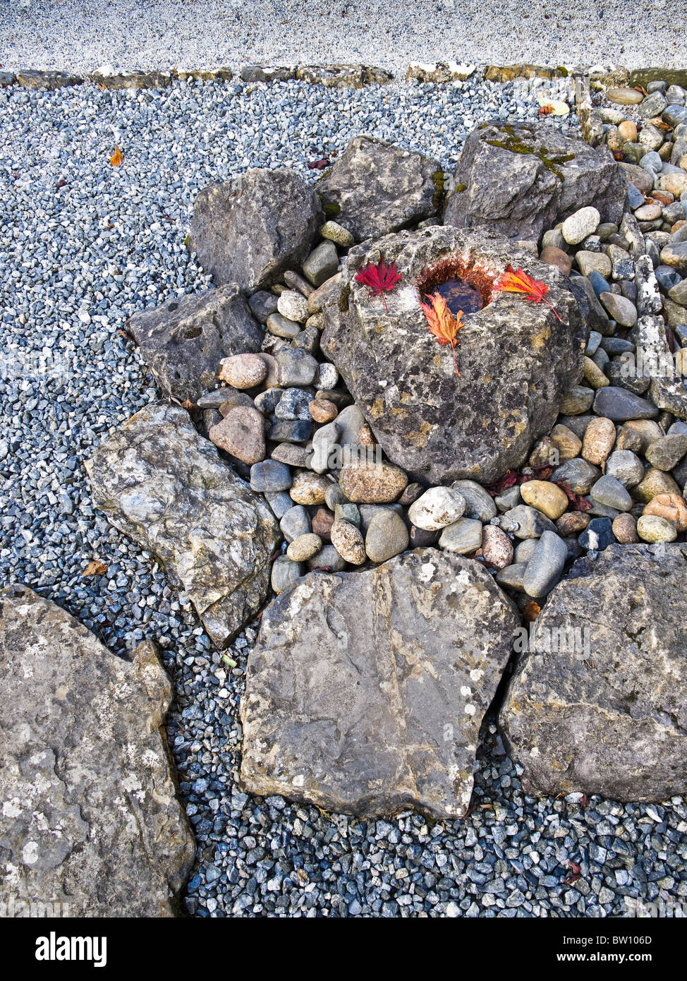 A tsukubai or stone basin in a Japanese garden with pebbles, stone and ...