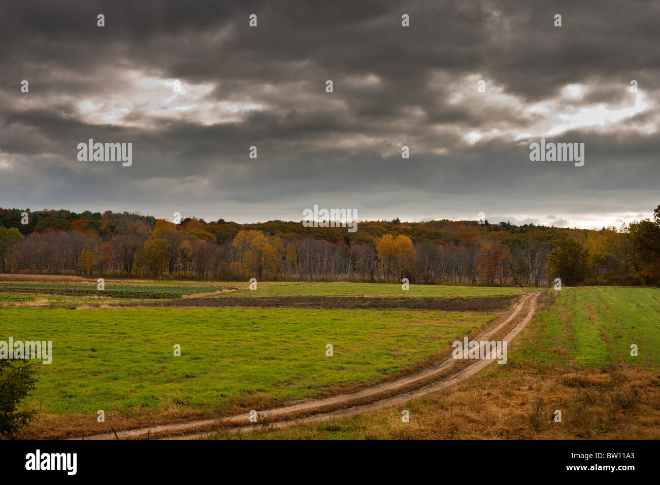 Rustic Field in Fall Stock Photo - Alamy