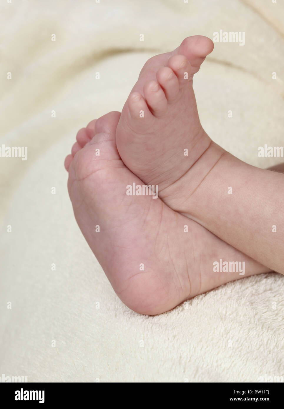 Tiny feet of a newborn baby Stock Photo - Alamy