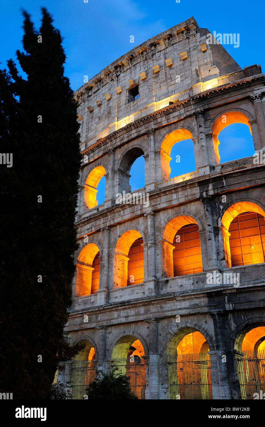 Colosseum at night, cross section showing all four levels with cypress ...