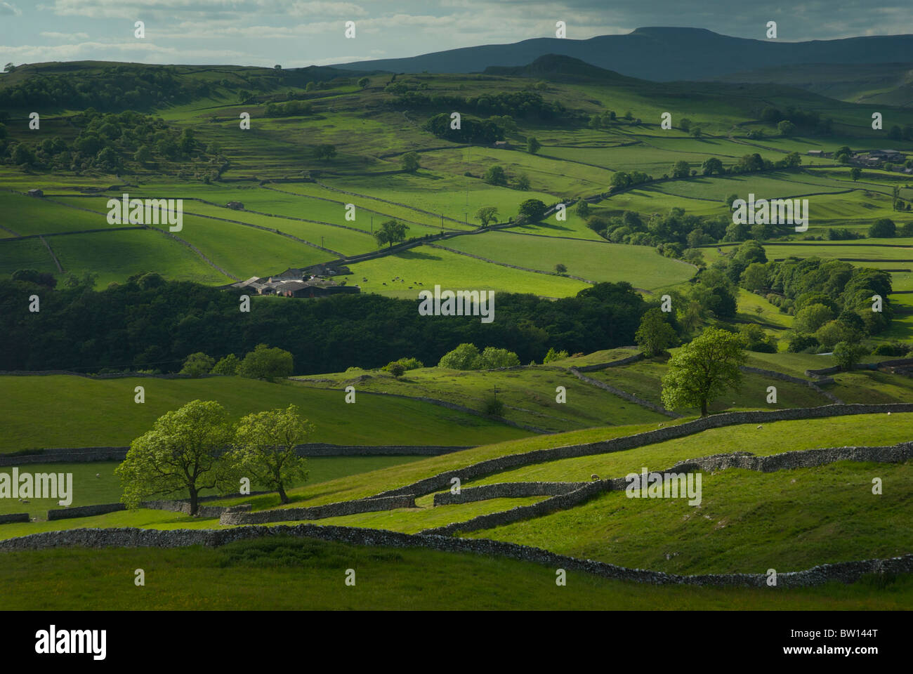 Farming landscape near Stainforth, Yorkshire Dales National Park ...