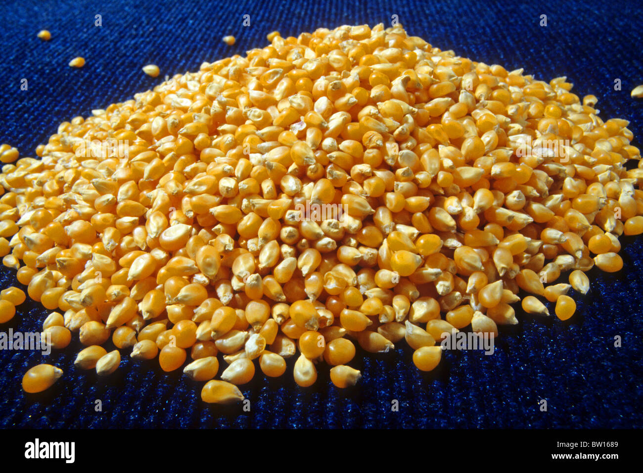 food corn popcorn kernel treat uncooked unpopped gold Stock Photo - Alamy