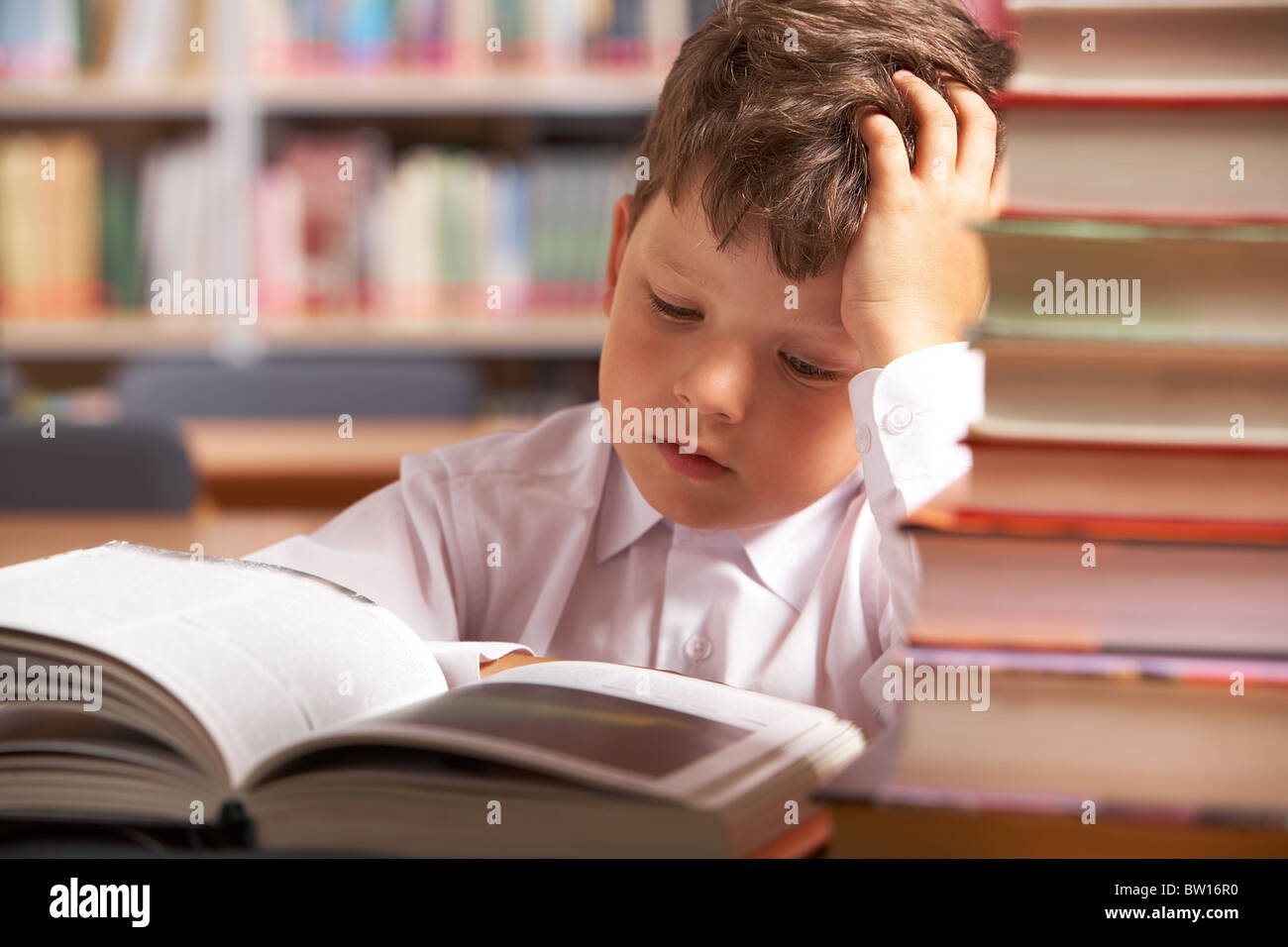 Image of interested schoolkid reading book in the library Stock Photo ...
