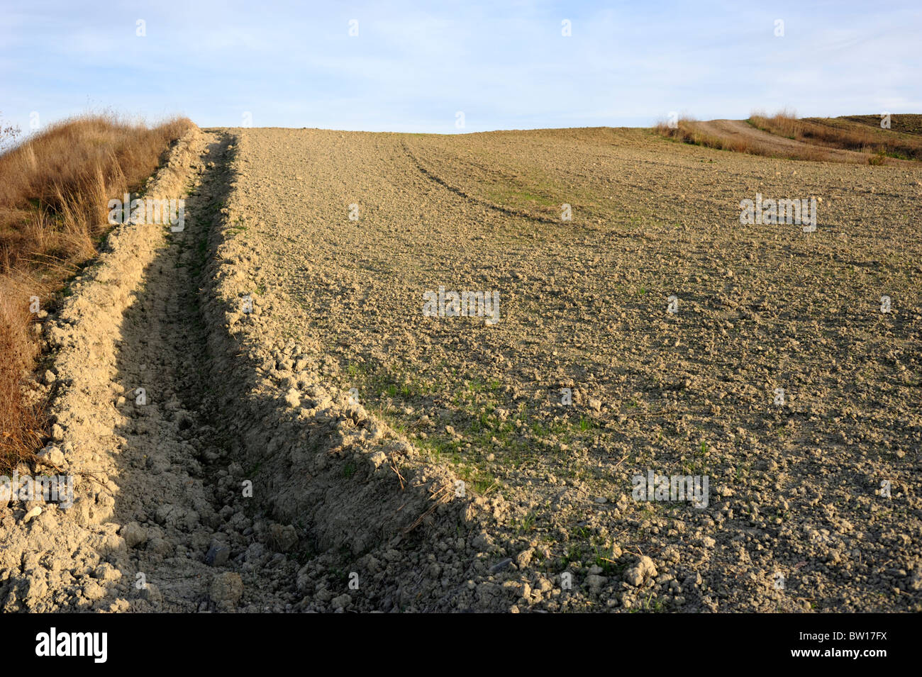 Italy, Tuscany, Val d'Orcia, ploughed soil Stock Photo - Alamy