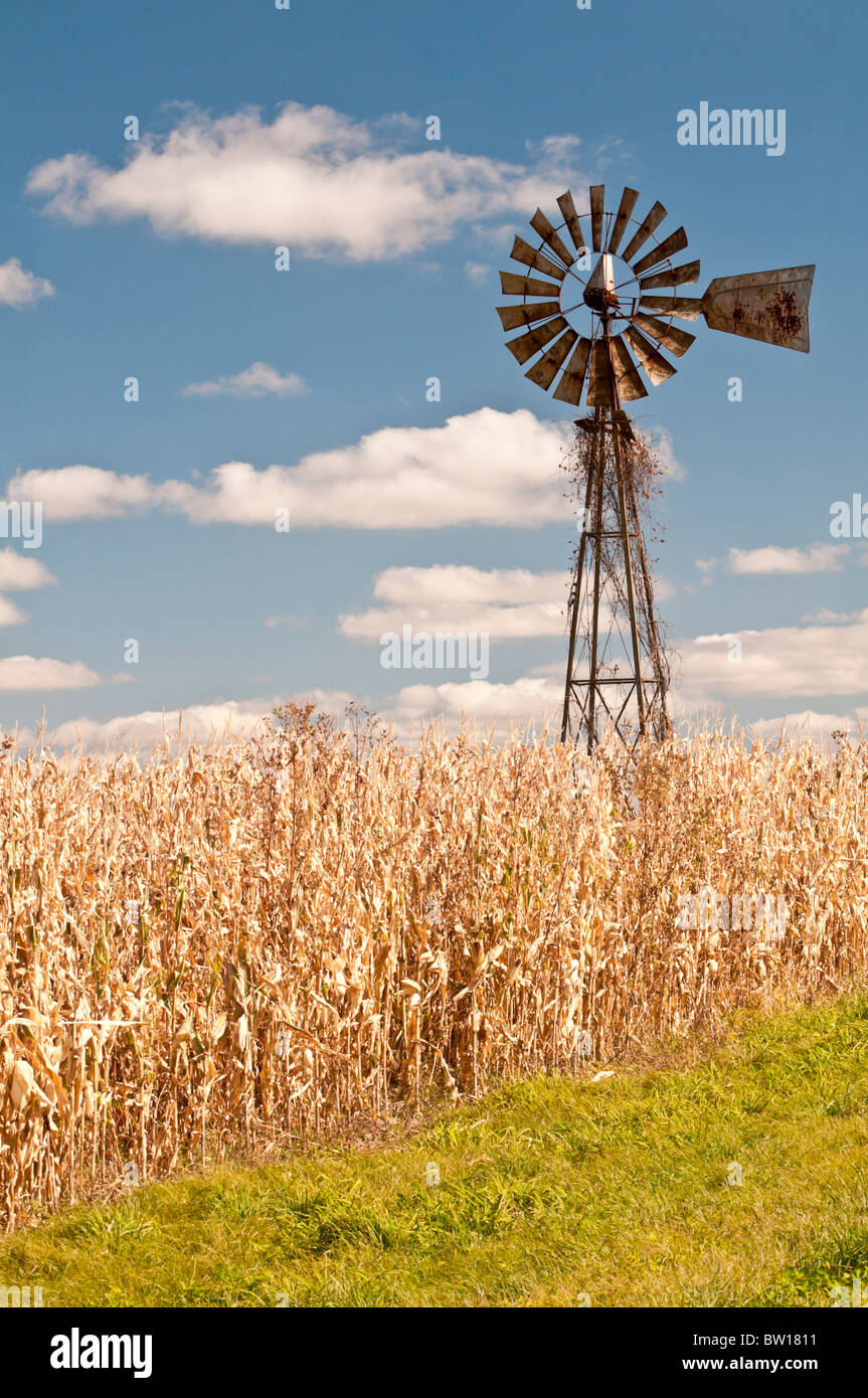 American windmill hi-res stock photography and images - Alamy