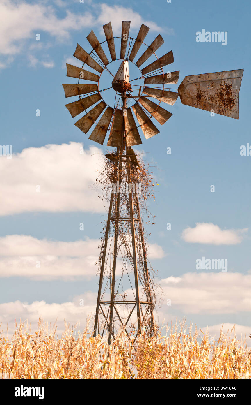American windmill/windpump and corn/maize field, near Viroqua ...