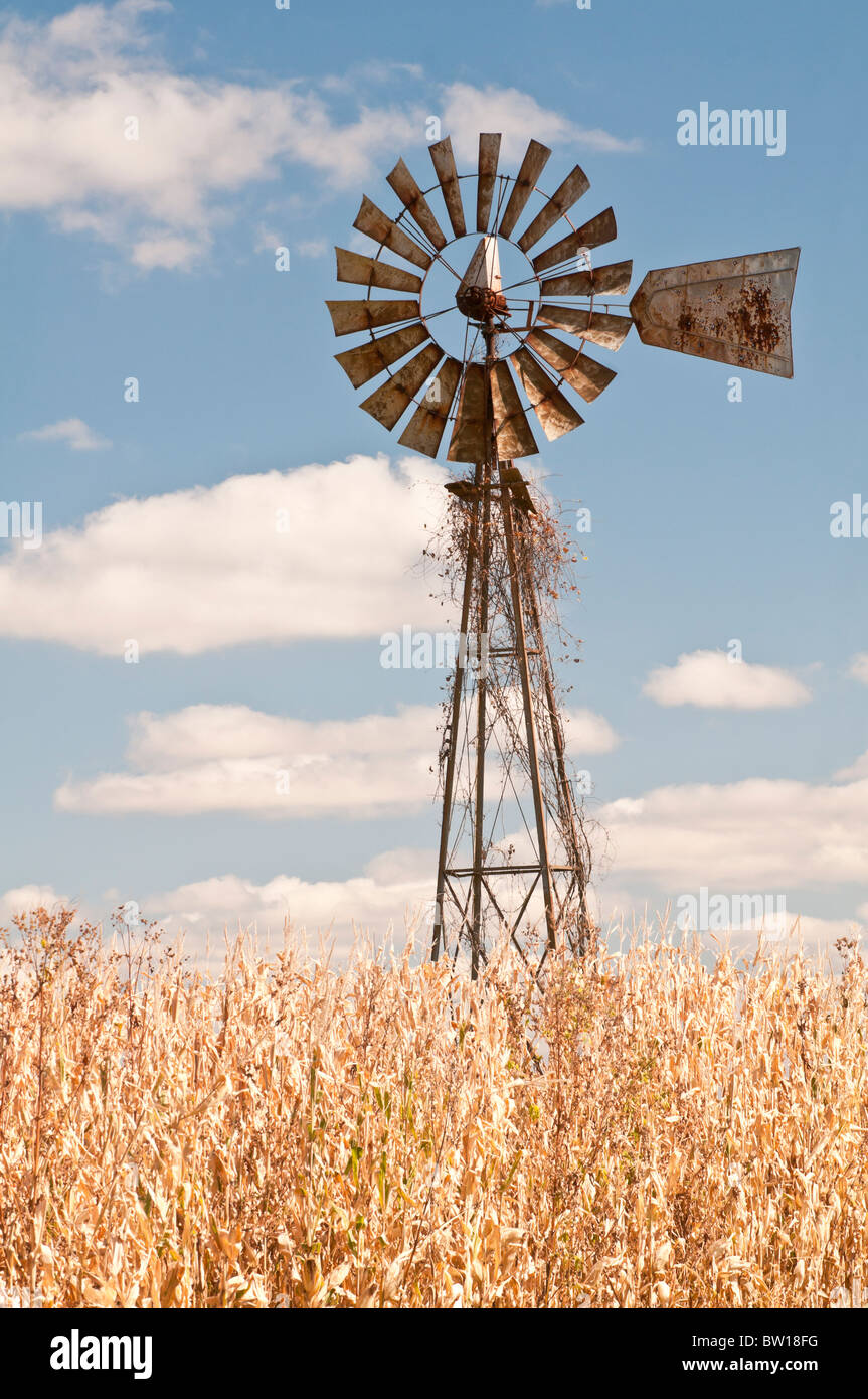 North american agricultural tradition hi-res stock photography and ...