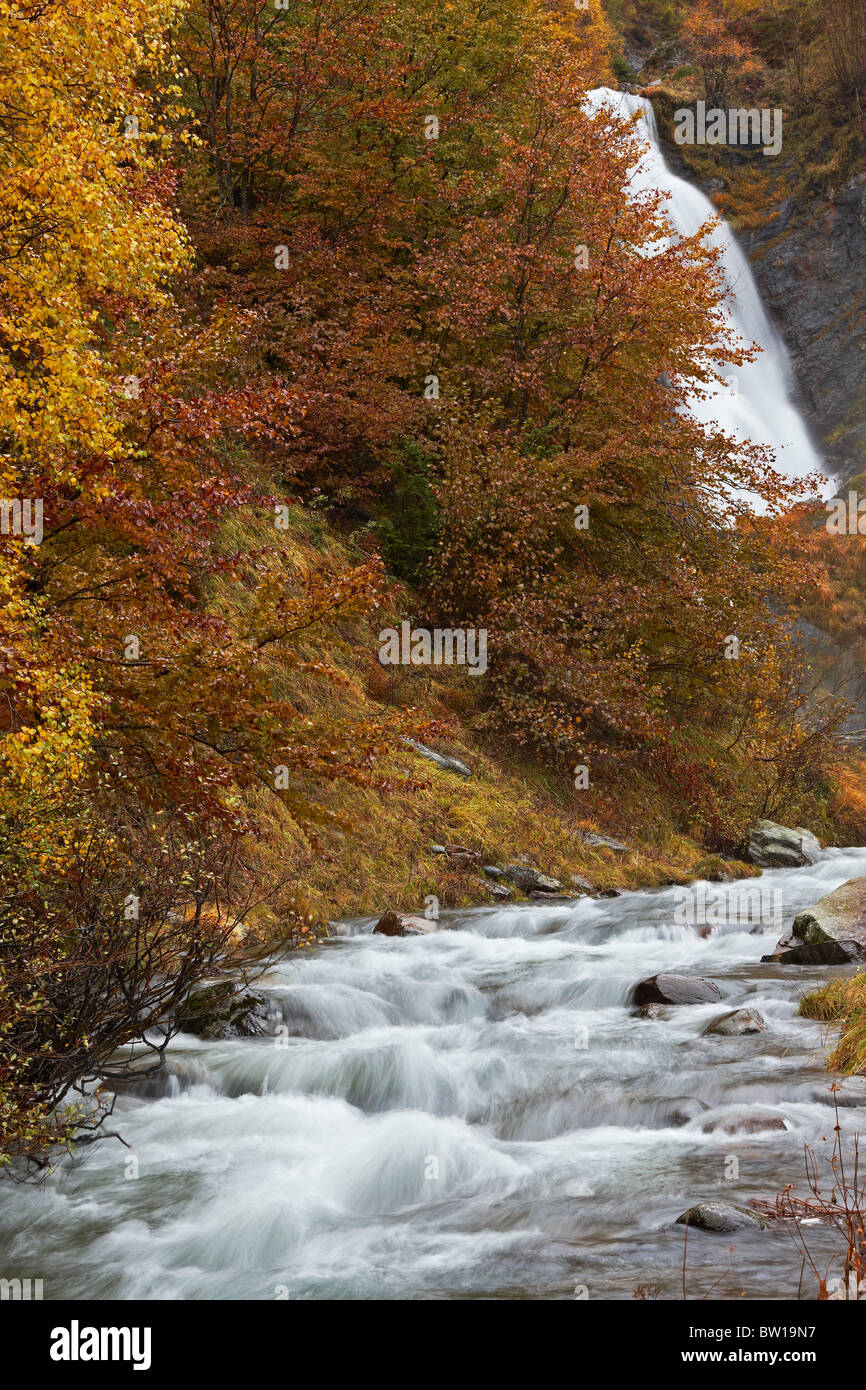 Autumn brook with mini waterfalls flowing in the national park Stock ...