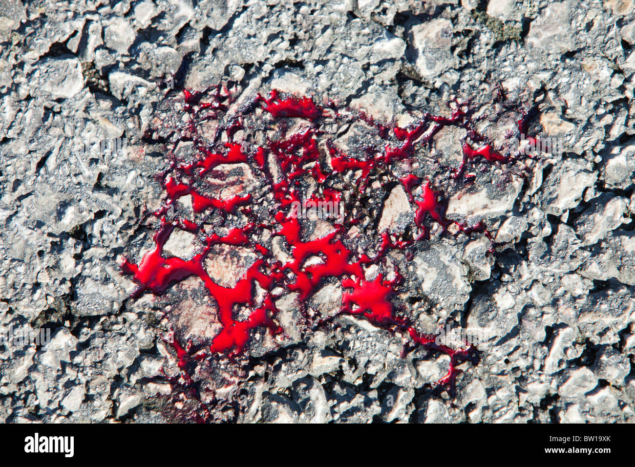 Blood on a tarmac road Stock Photo - Alamy