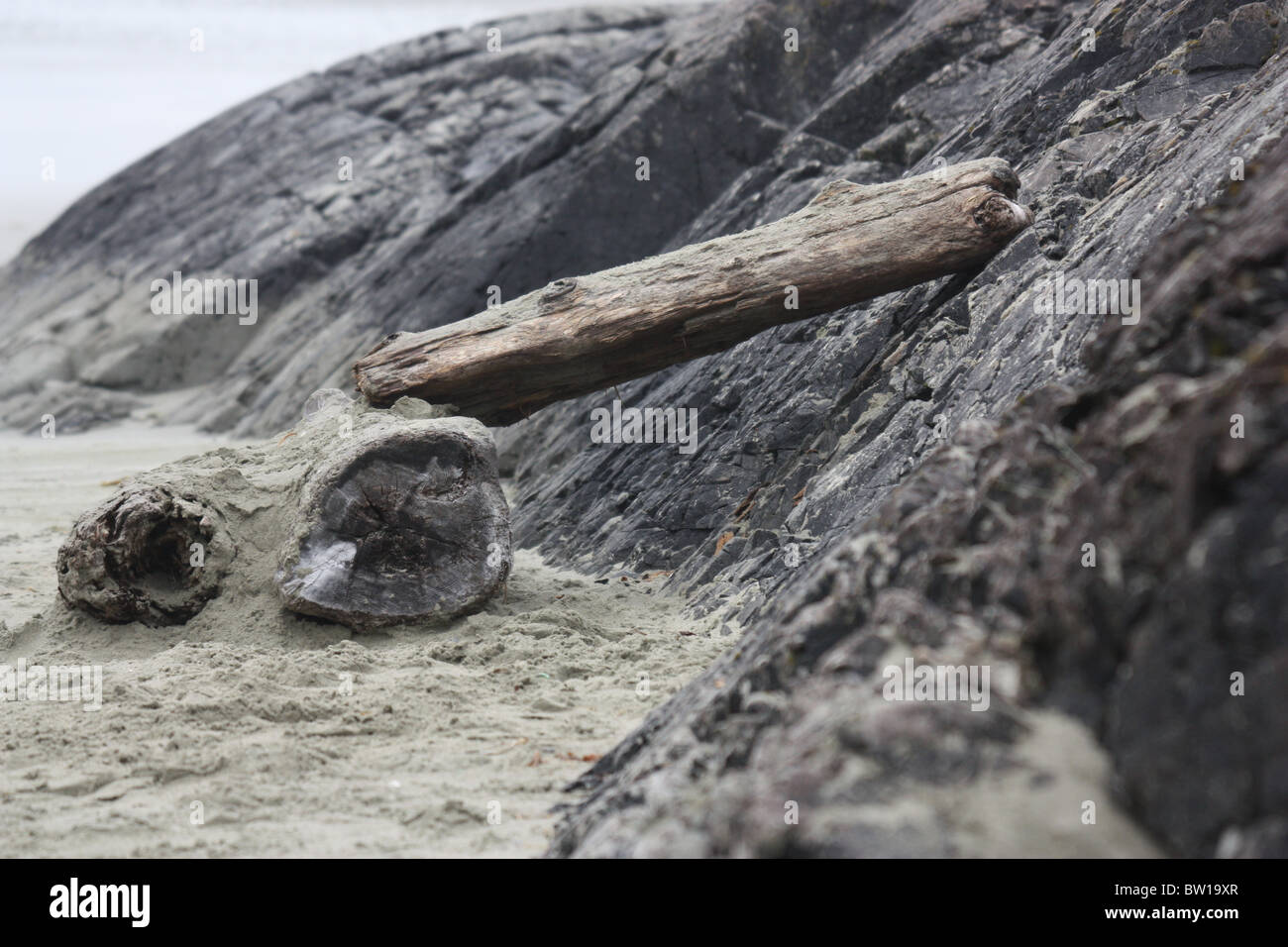 The crab bridge hi-res stock photography and images - Alamy