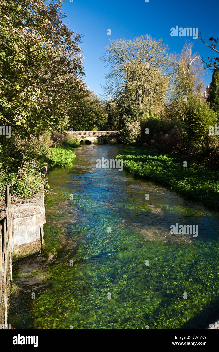 Clean upsoiled waters of the River Test at Laverstoke near Whitchurch ...