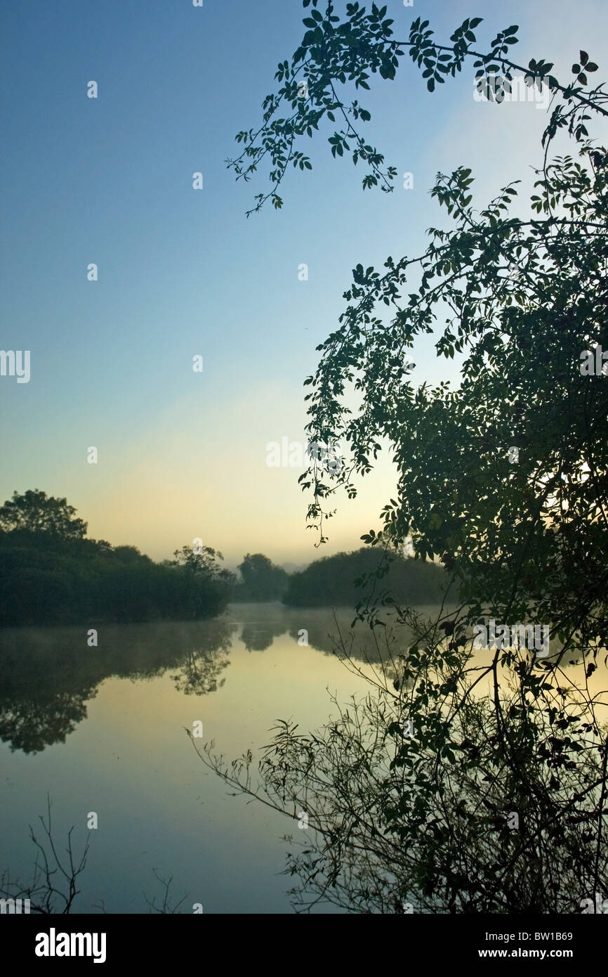 early morning lake scene Stock Photo - Alamy