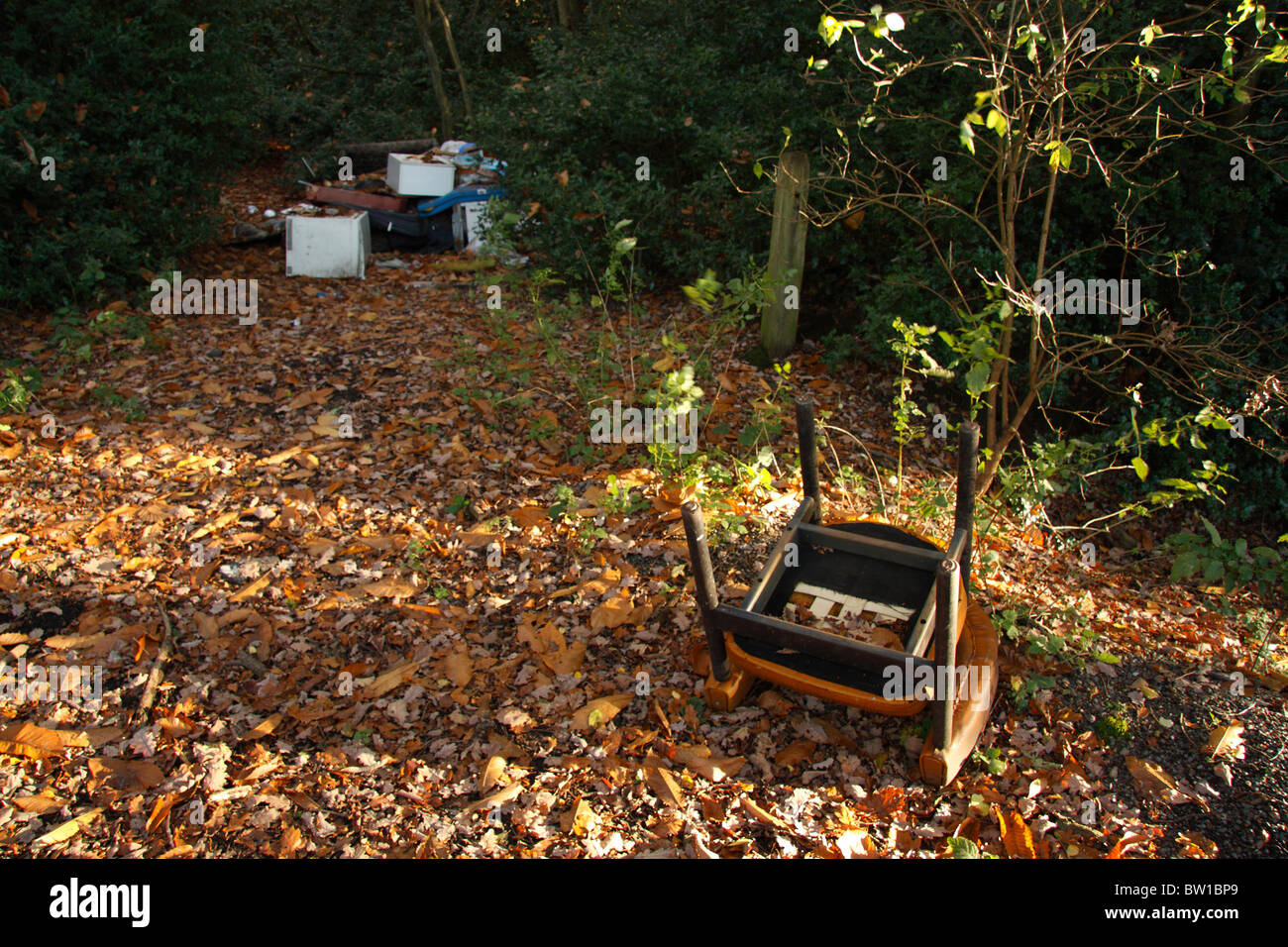 Fly tipping rubbish in rural woodland Stock Photo - Alamy