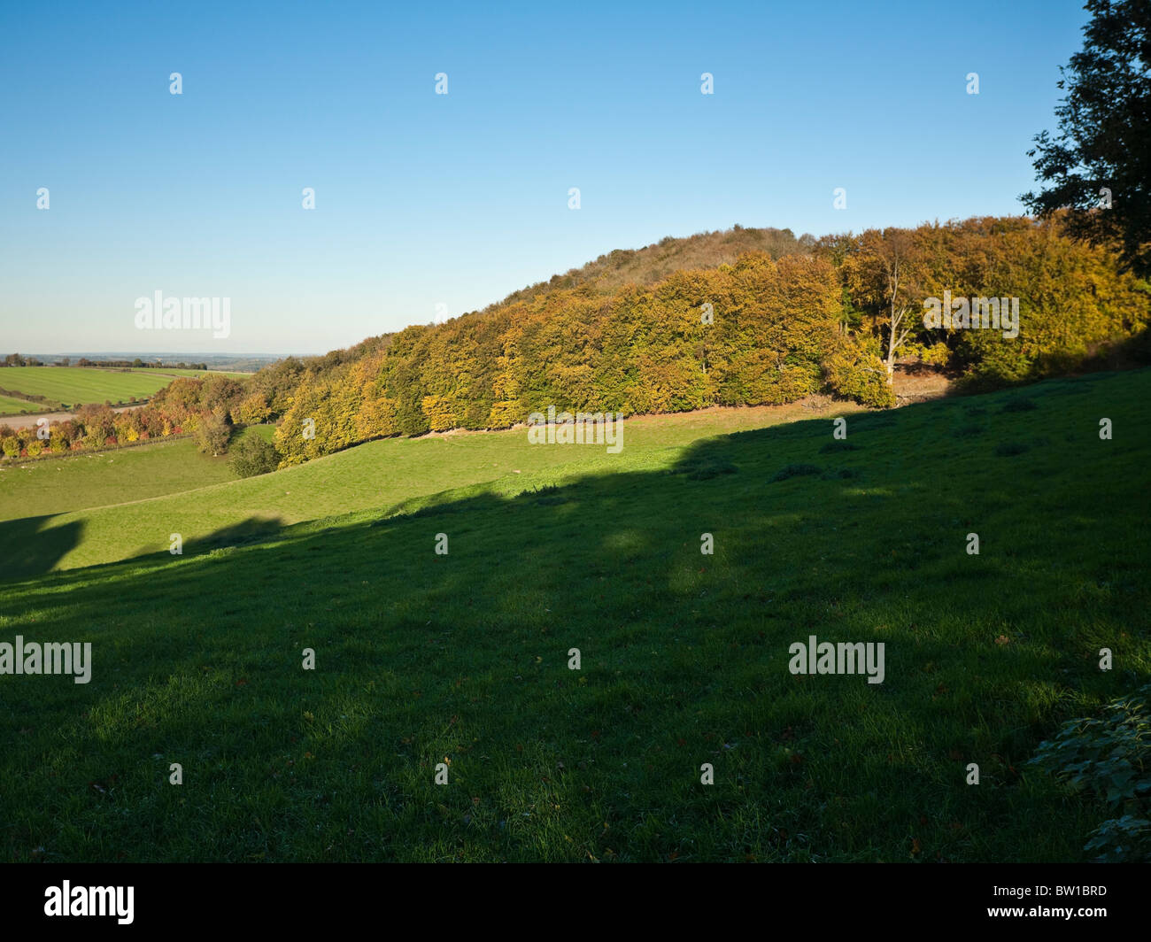 Landscape of Watership Down above Kingsclere Hampshire UK. The setting ...