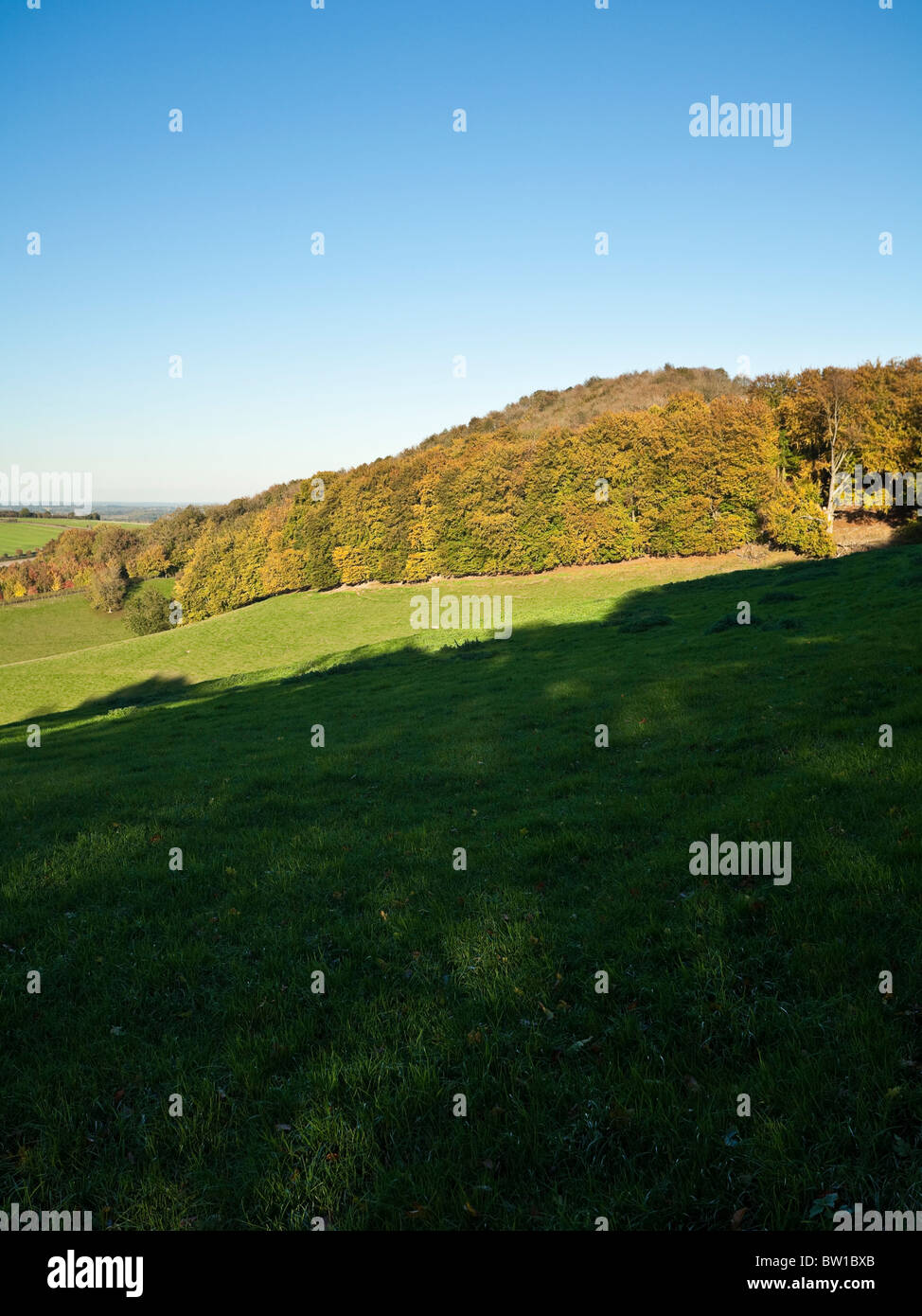 Landscape of Watership Down above Kingsclere Hampshire UK. The setting ...
