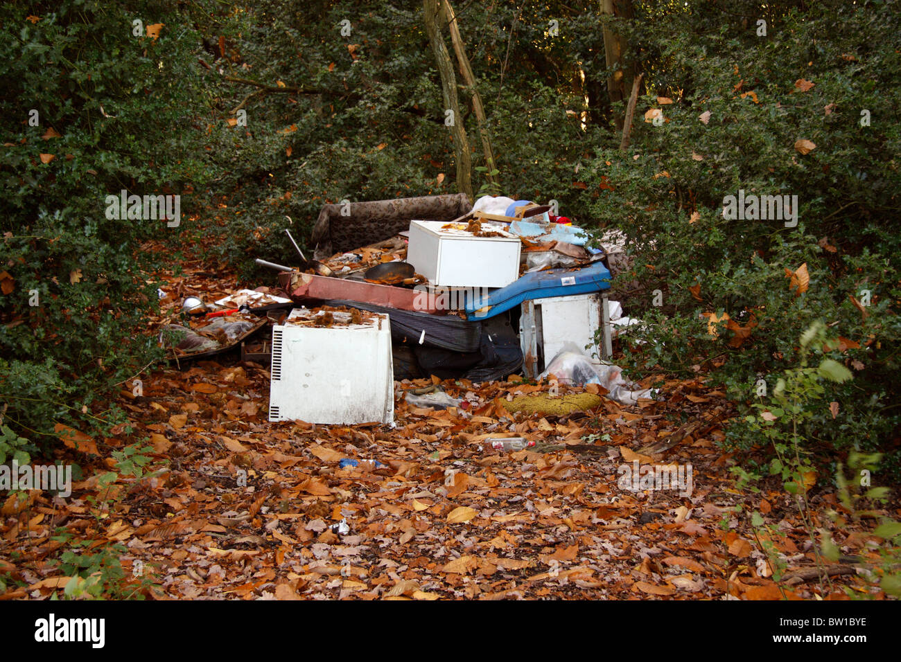 Fly tipping rubbish in rural woodland Stock Photo - Alamy