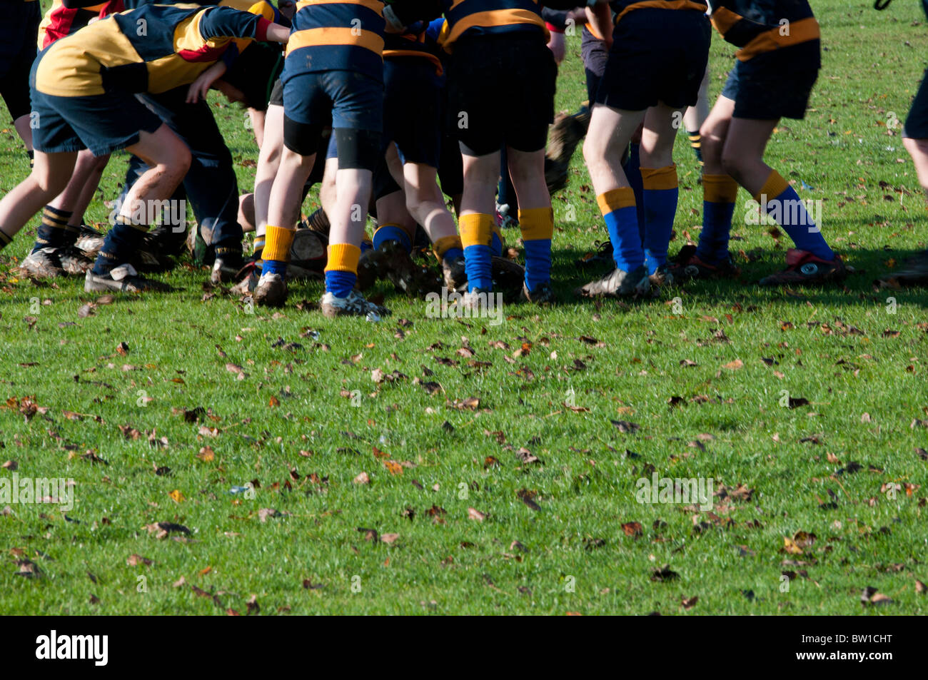 young boys playing rugby in a scrum in an outdoor playing field in ...