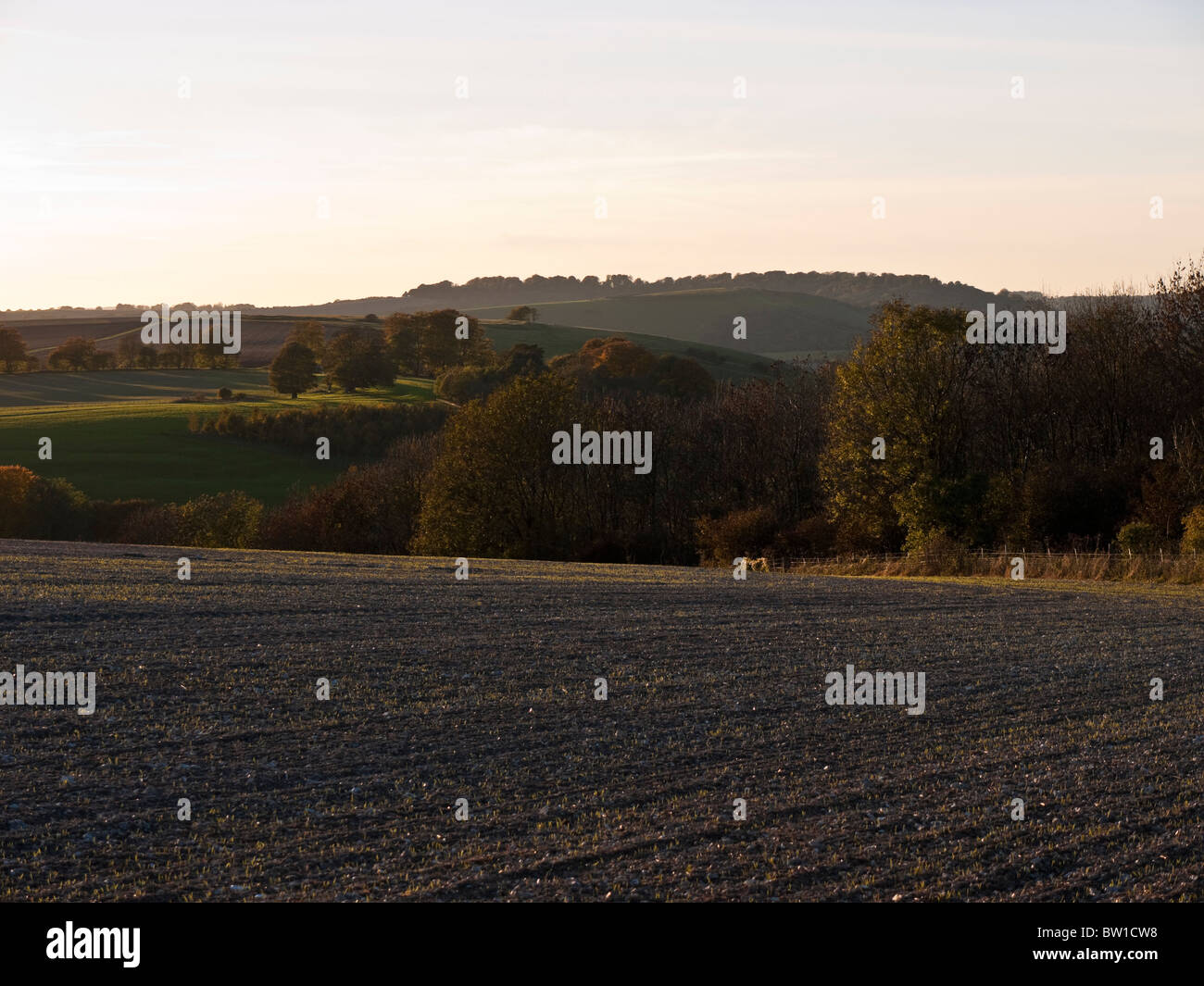 View west along the scarp towards Ladel Hill and Beacon Hill from ...