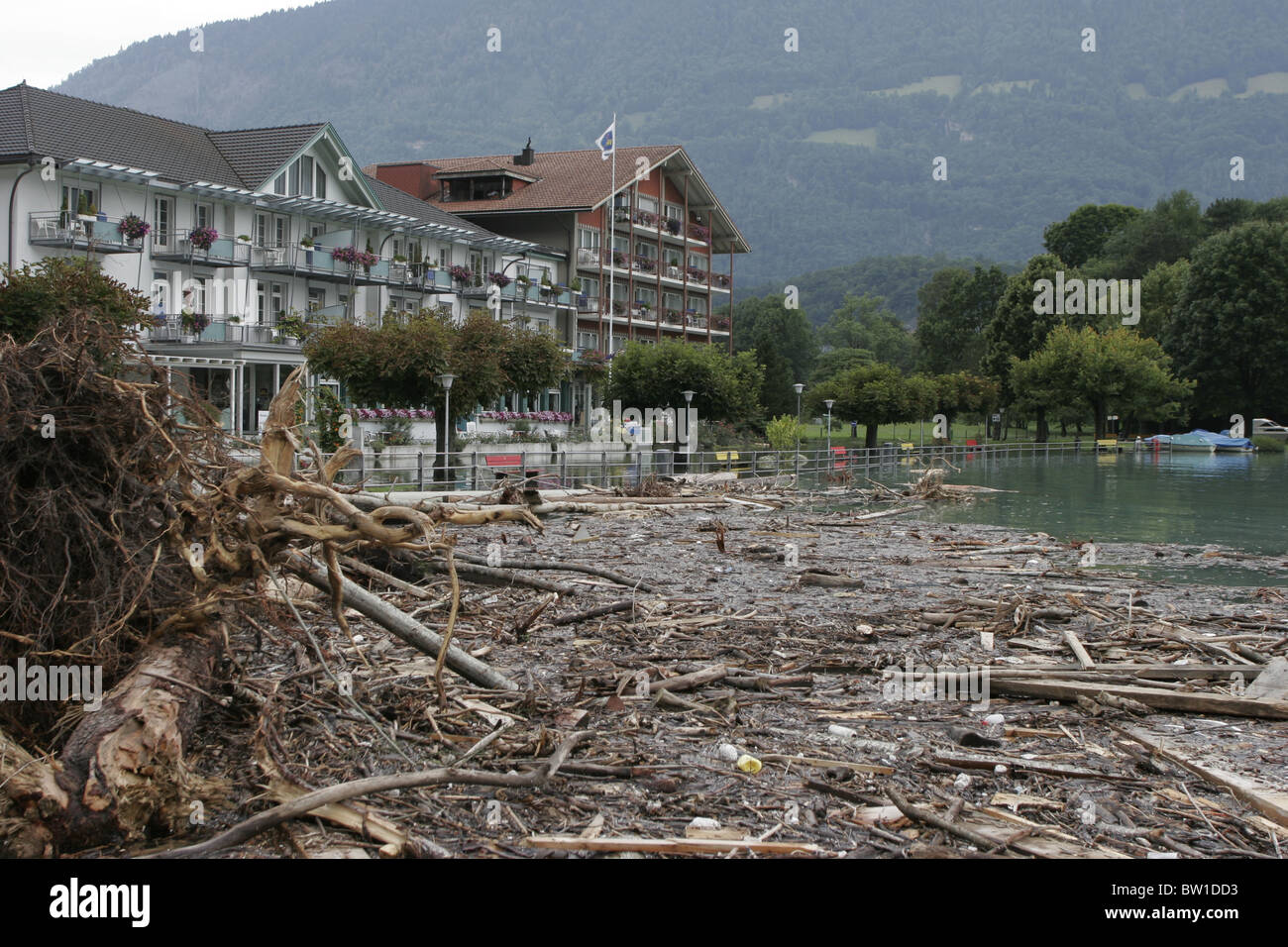 Ecologal hi-res stock photography and images - Alamy