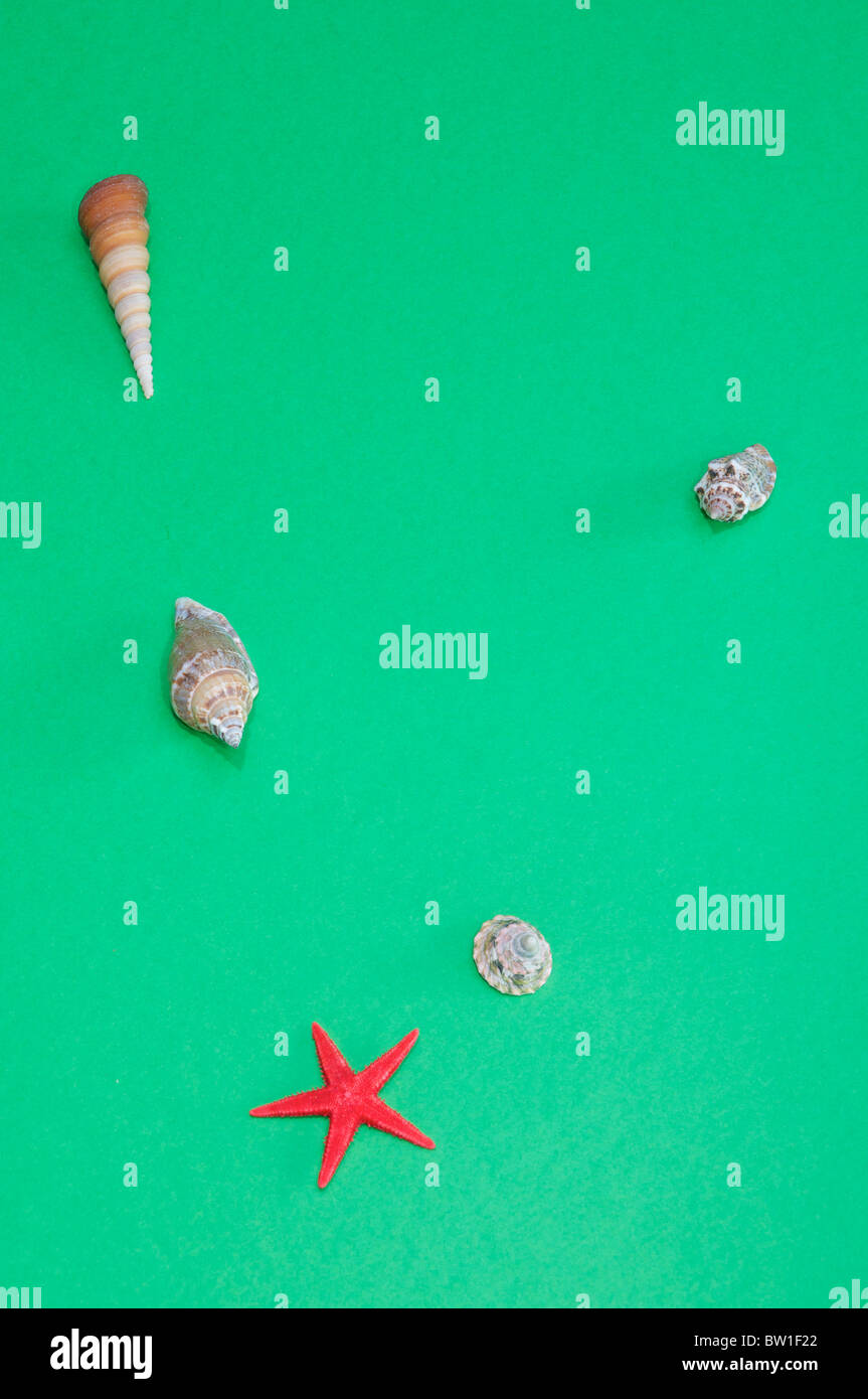 Triangular arrangement of sea shells Stock Photo - Alamy