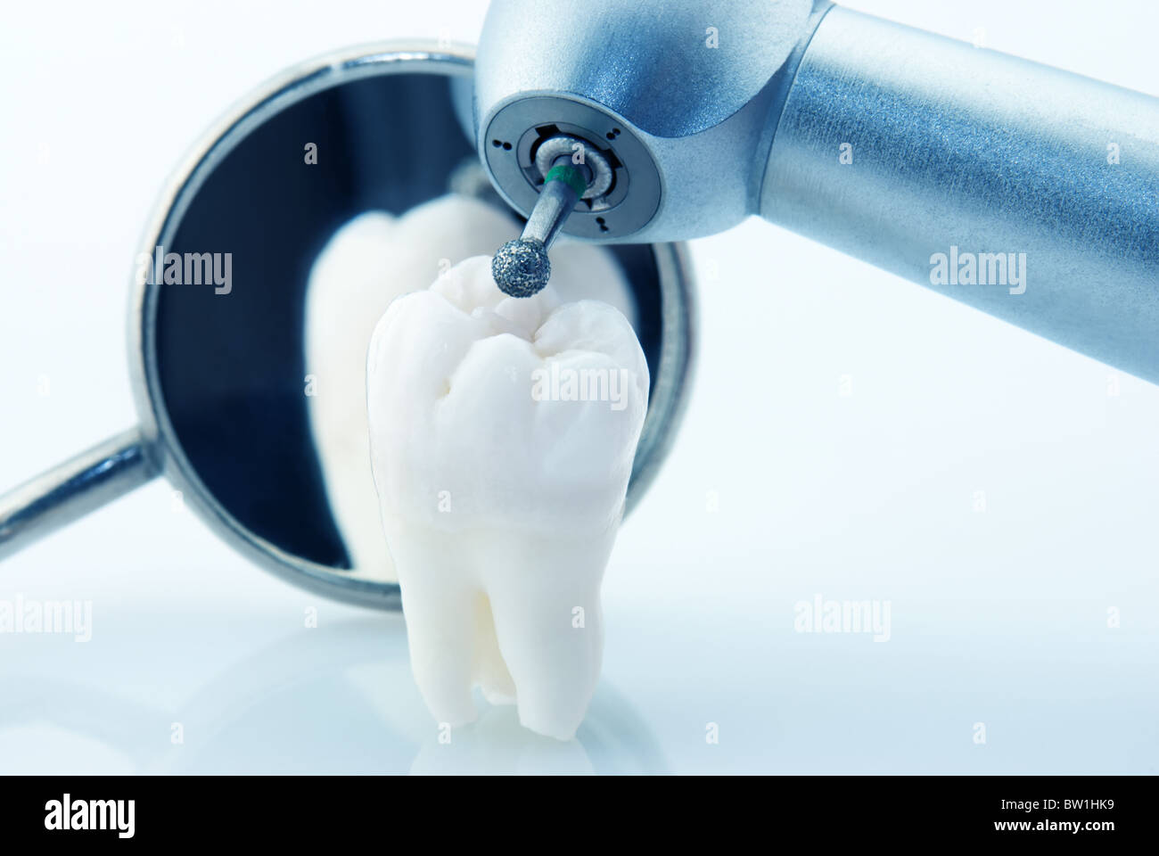 Healthy teeth concept. Real human wisdom tooth dental mirror and ...