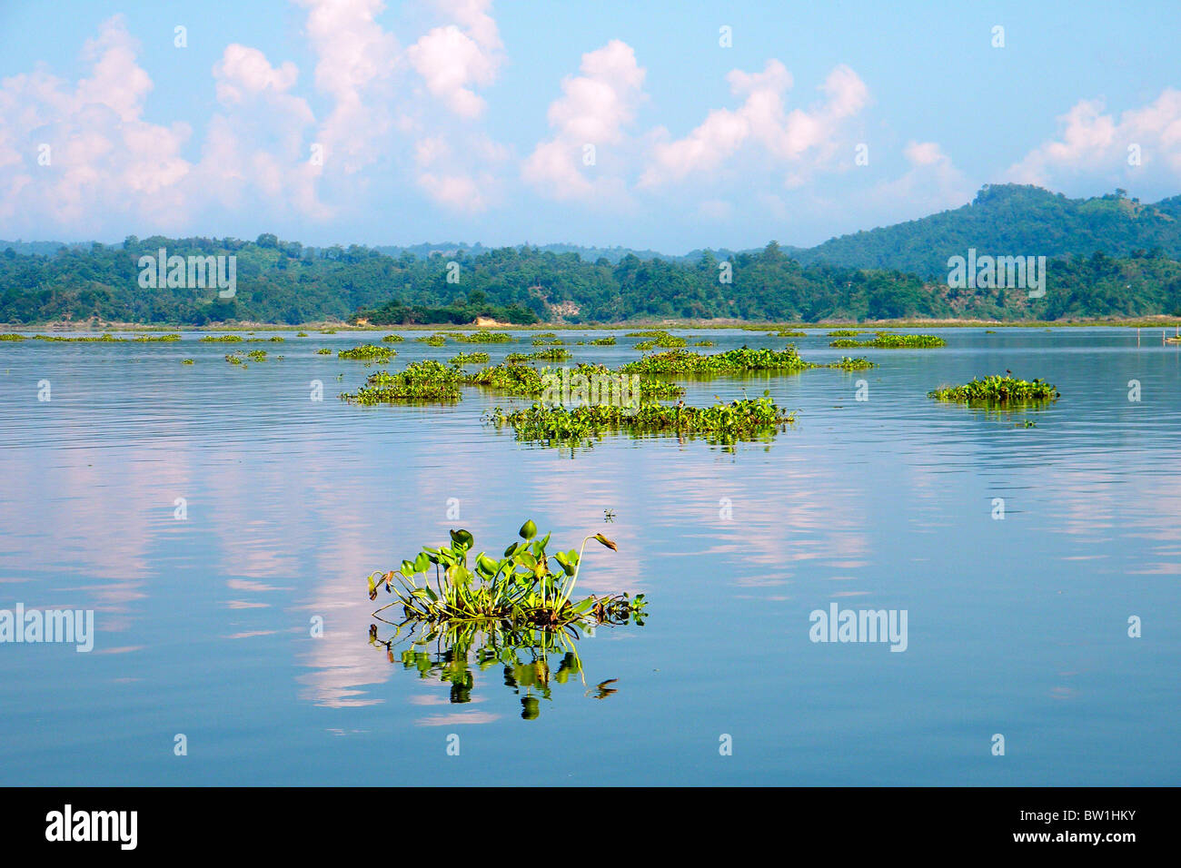 Kaptai lake, Bangladesh Stock Photo - Alamy