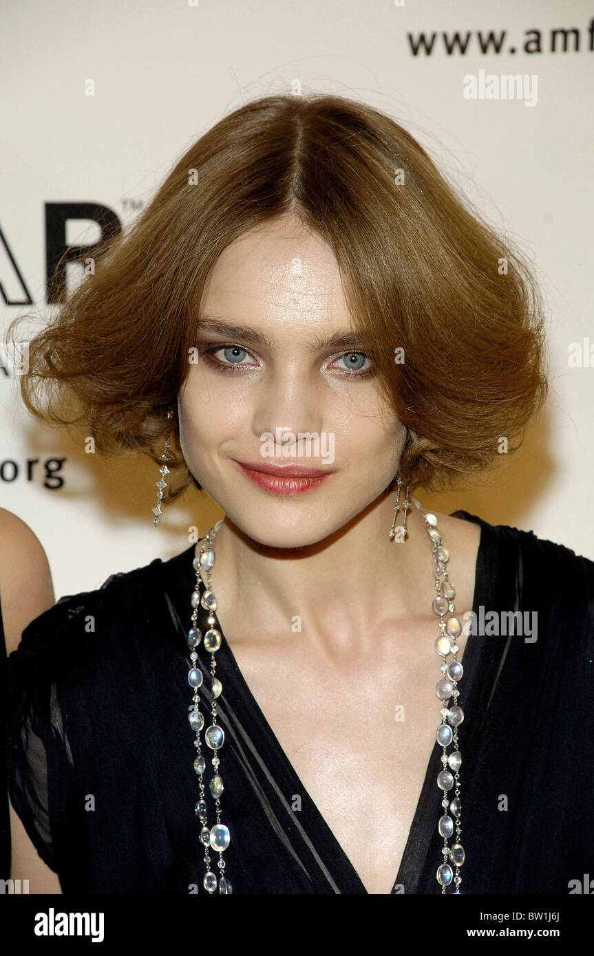 amfAR American Foundation for AIDS Research 10th Annual New York Gala ...