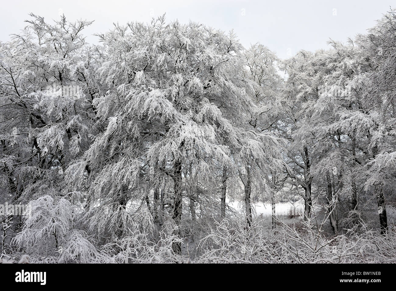 Scottish winter landscape hi-res stock photography and images - Alamy
