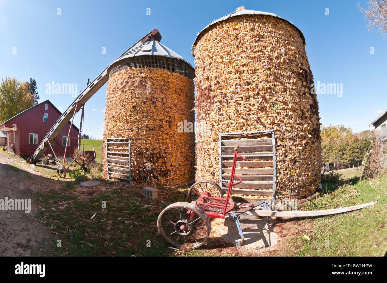 Corn/maize storage bin, Amish farm, near Viroqua, Wisconsin, USA Stock ...