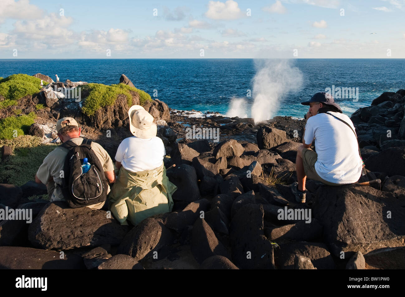 Galapagos Islands, Ecuador. Blow hole, Suárez Point, Isla Espanola ...