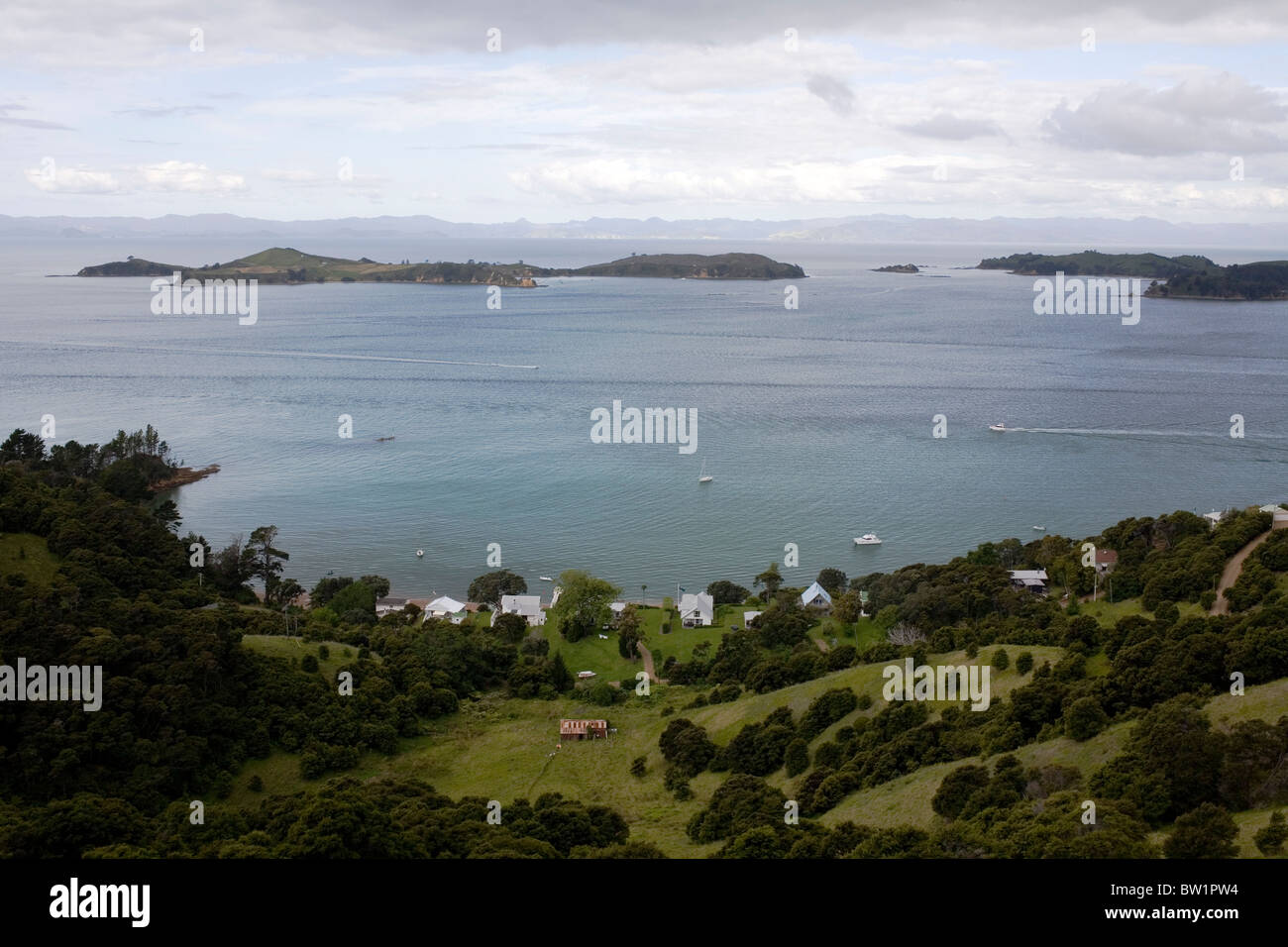 Auckland islands hi-res stock photography and images - Alamy